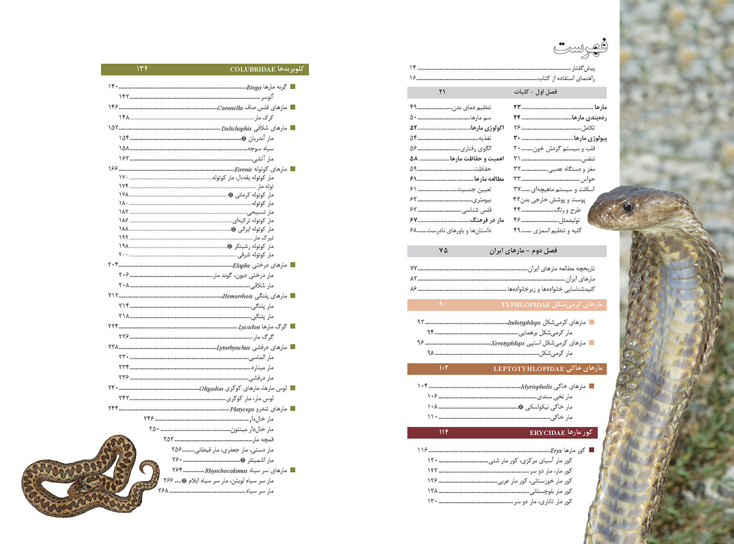 Snakes of IRAN | Books | Iranshenasi Publishing